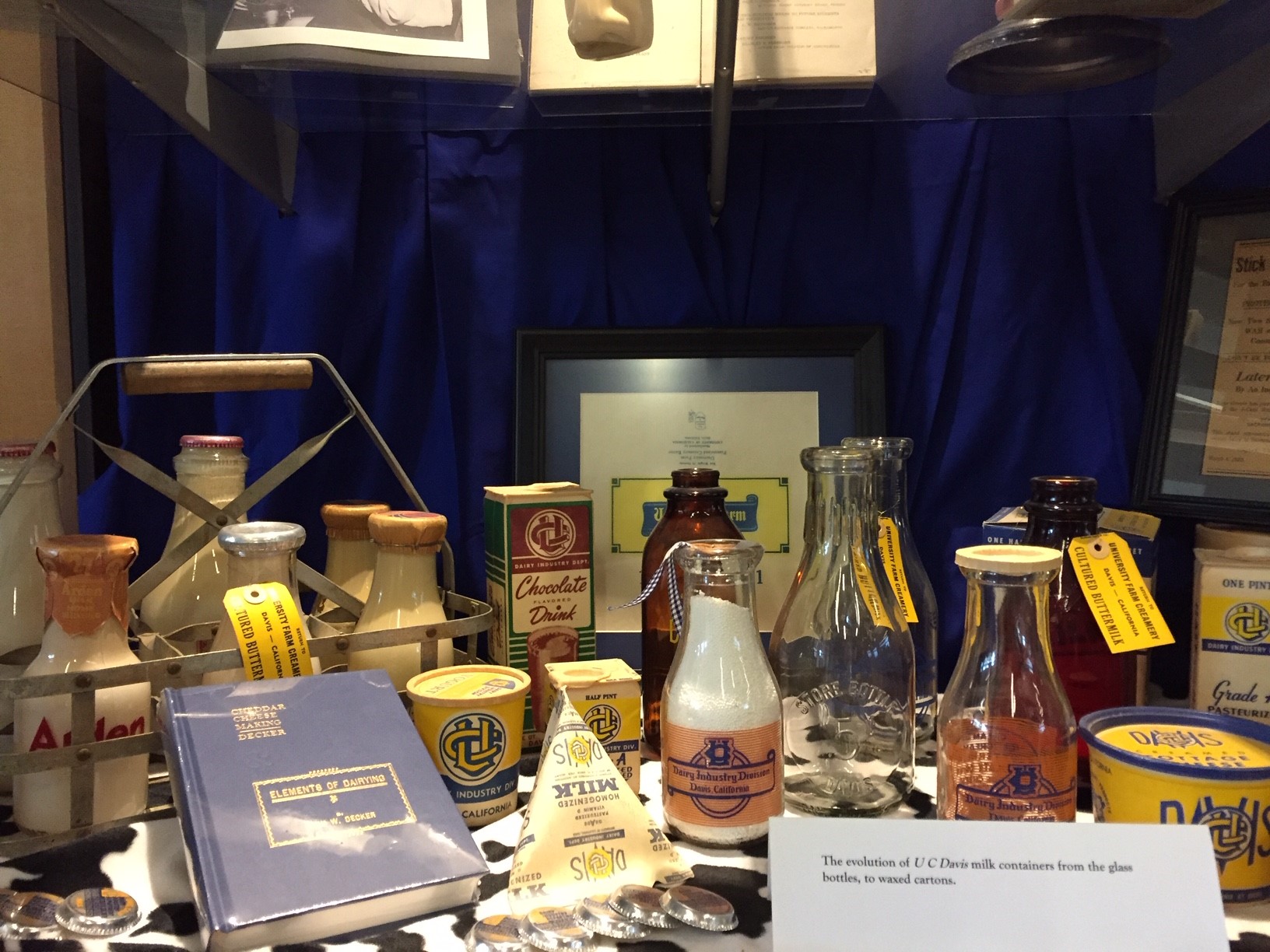 Dairy Food Science at UC Davis | Food Science and Technology